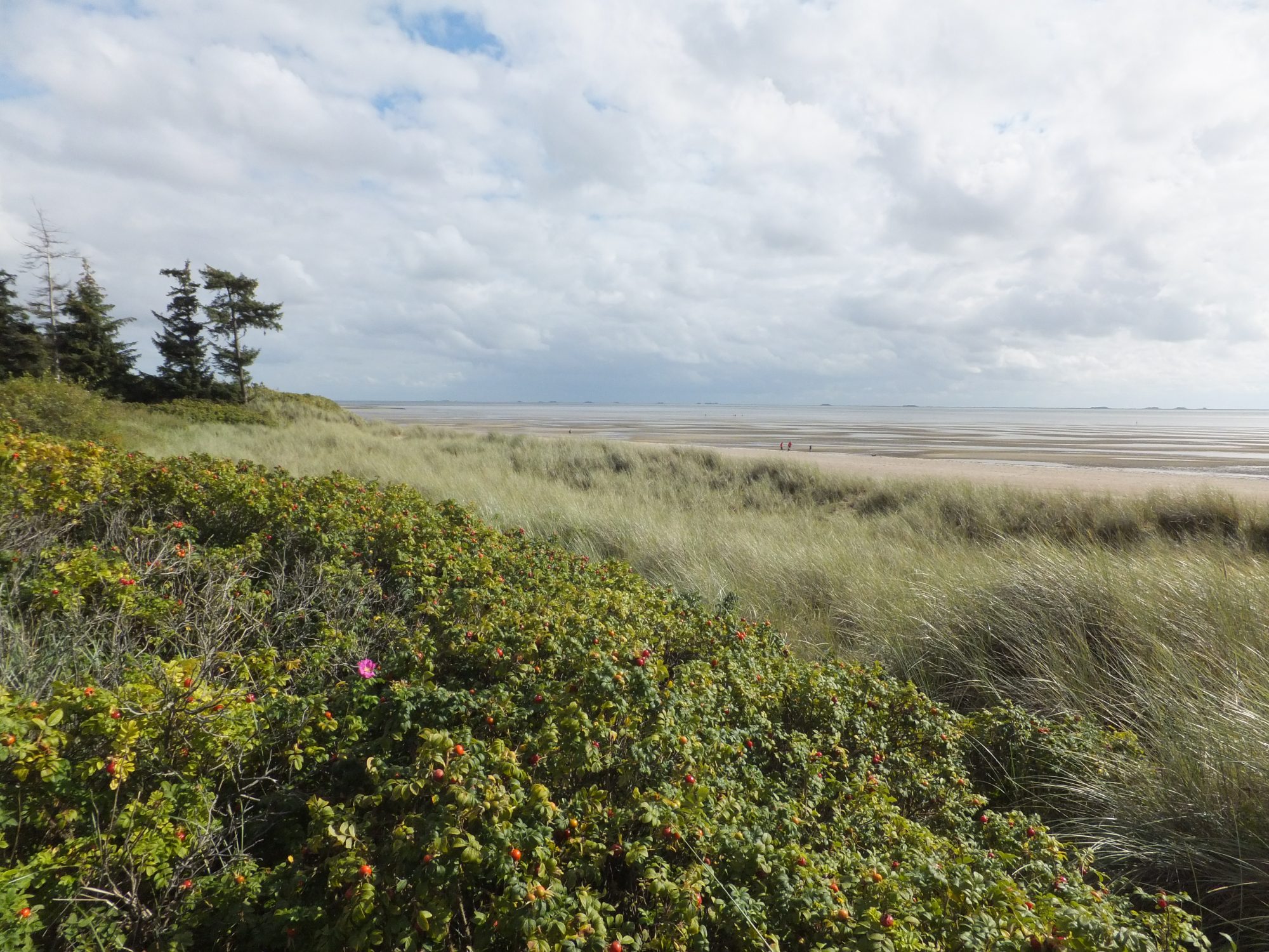 Föhr-Amrum Treffen am 15. September – Ferring Stiftung