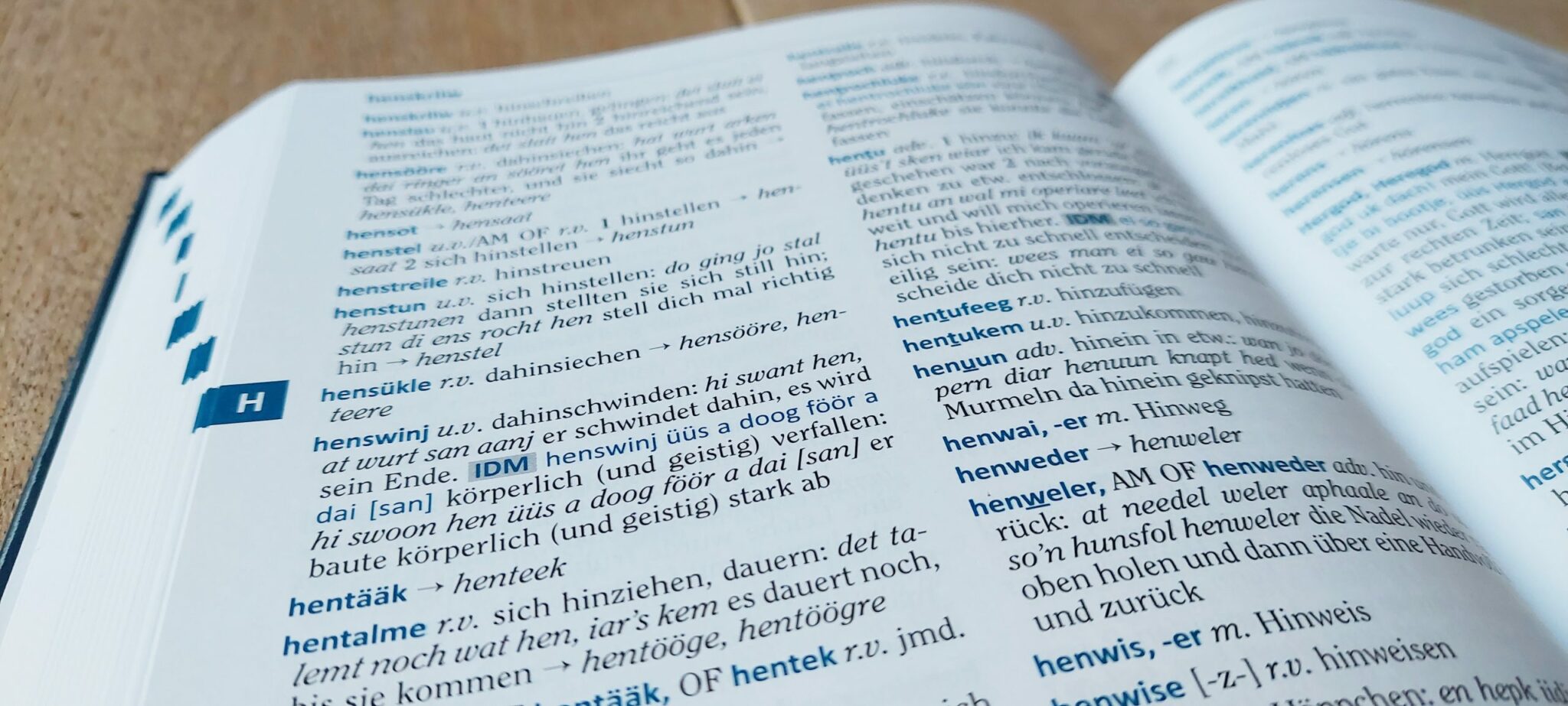 Das Neue Fering-Öömrang Wörterbuch ist erhältlich! – Ferring Stiftung